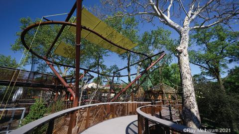 Take a peek inside the Saint Louis Zoo's new $13M primate canopy trail ...