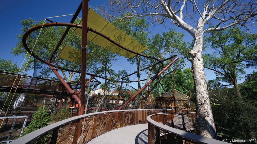 Take a peek inside the Saint Louis Zoo's new $13M primate canopy trail ...