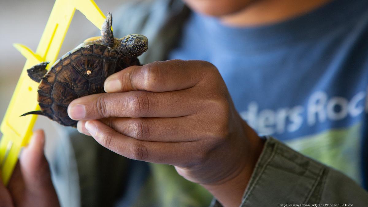 Patti Payne: Program bolsters numbers of endangered pond turtles; plus ...