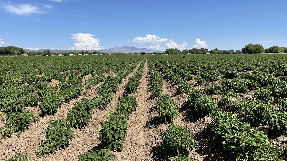 The chile pepper economy: Why local farmers are concerned about New ...