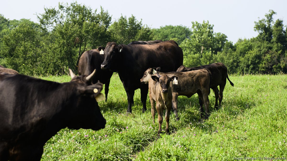 Merck Animal Health names AdFarm as marketing agency of record - Kansas ...