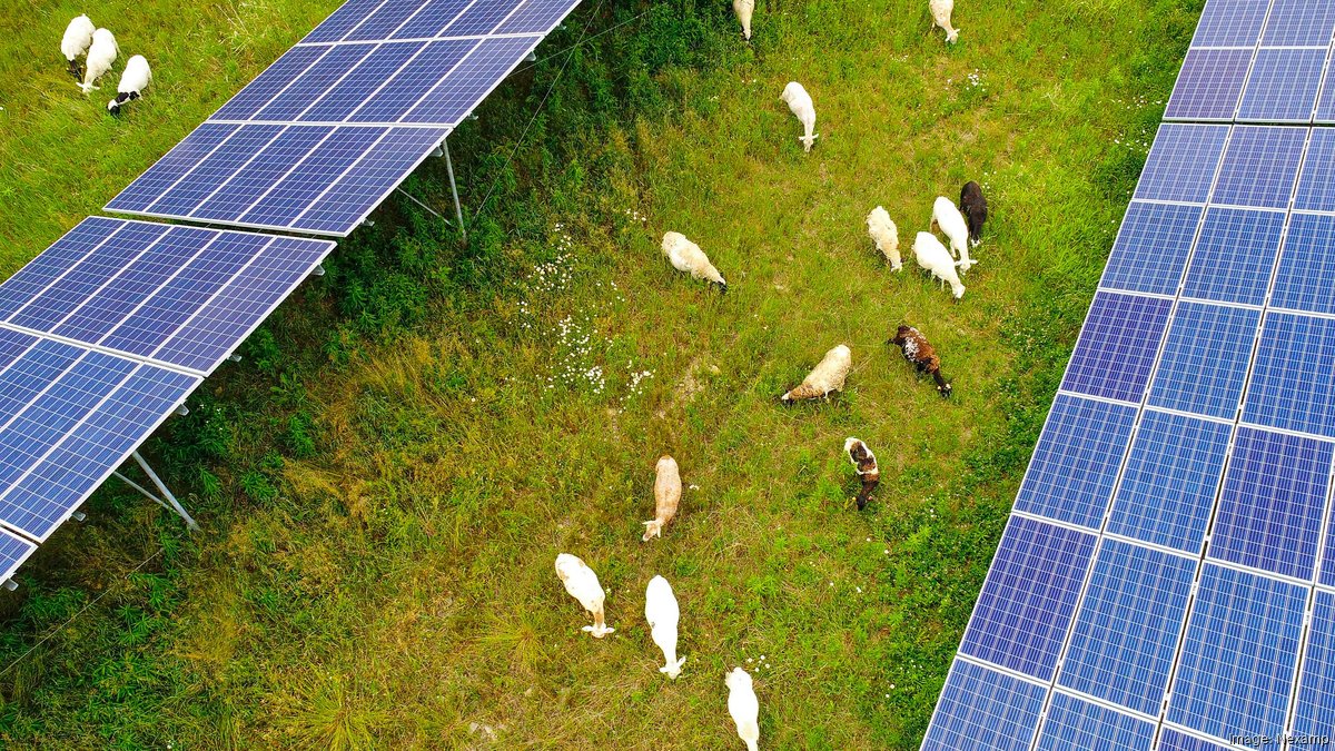 Nexamp $330M construction warehouse facility financing, explained ...