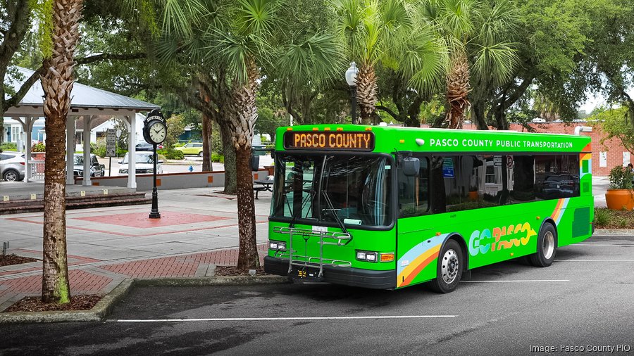 Pasco County transit agency names new director - Tampa Bay Business Journal