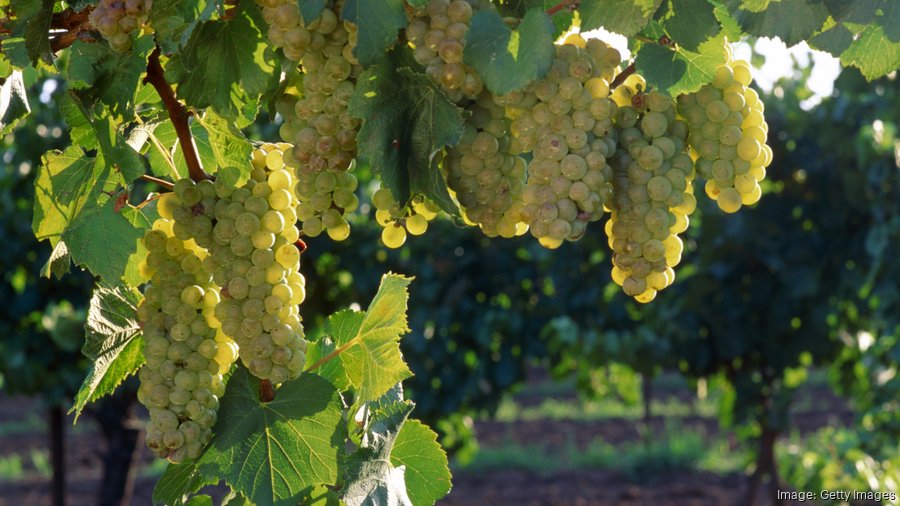 Oregon direct-to-consumer wine shipments fell in 2025 - Portland ...