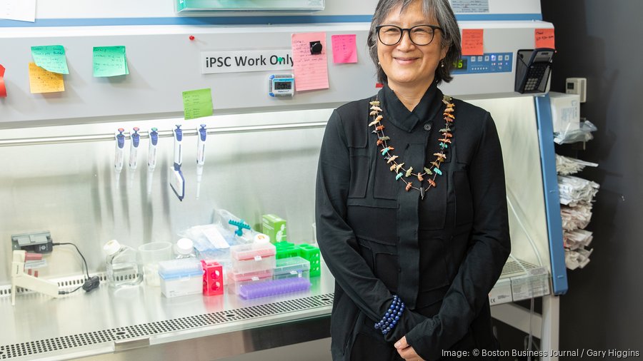 After departing Flagship, Pearl Huang to lead Novartis-partnered ...