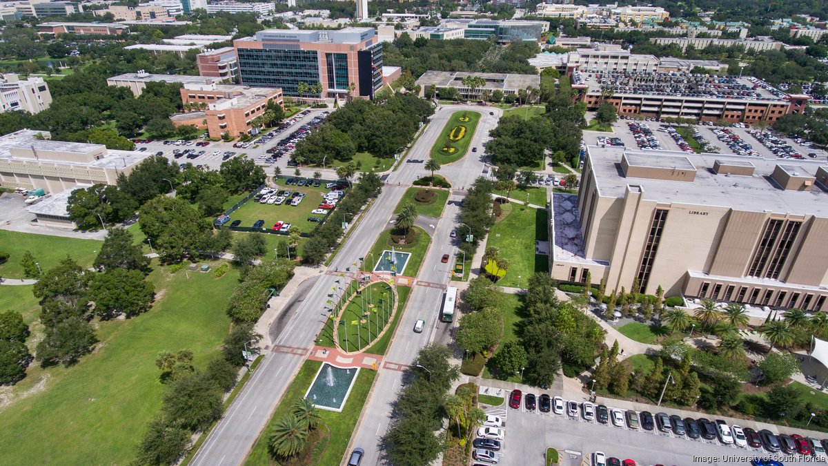 USF s AAU Invitation Benefits Region And State Column Tampa Bay USF s AAU Invitation Benefits Region And State Column Tampa Bay