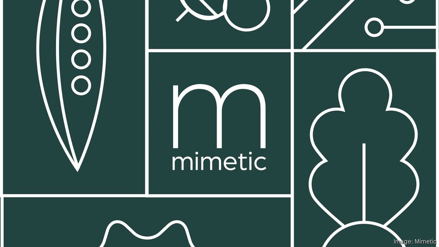 Mimetic initiative hopes to better link region's technologists ...