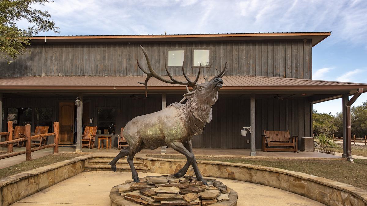 South Texas rancher profile: Recordbuck Ranch – Feeling at home in ...