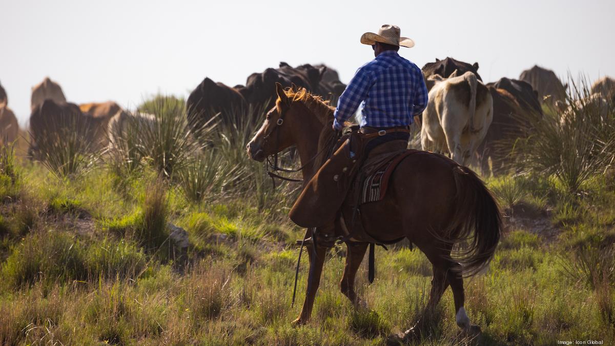 80,000-acre Turkey Track Ranch, ‘Oasis of the Panhandle,' hits market ...