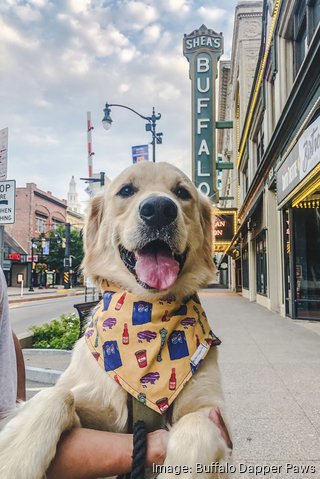Buffalo Dapper Paws finds niche with Buffalo-themed dog gear - Buffalo ...