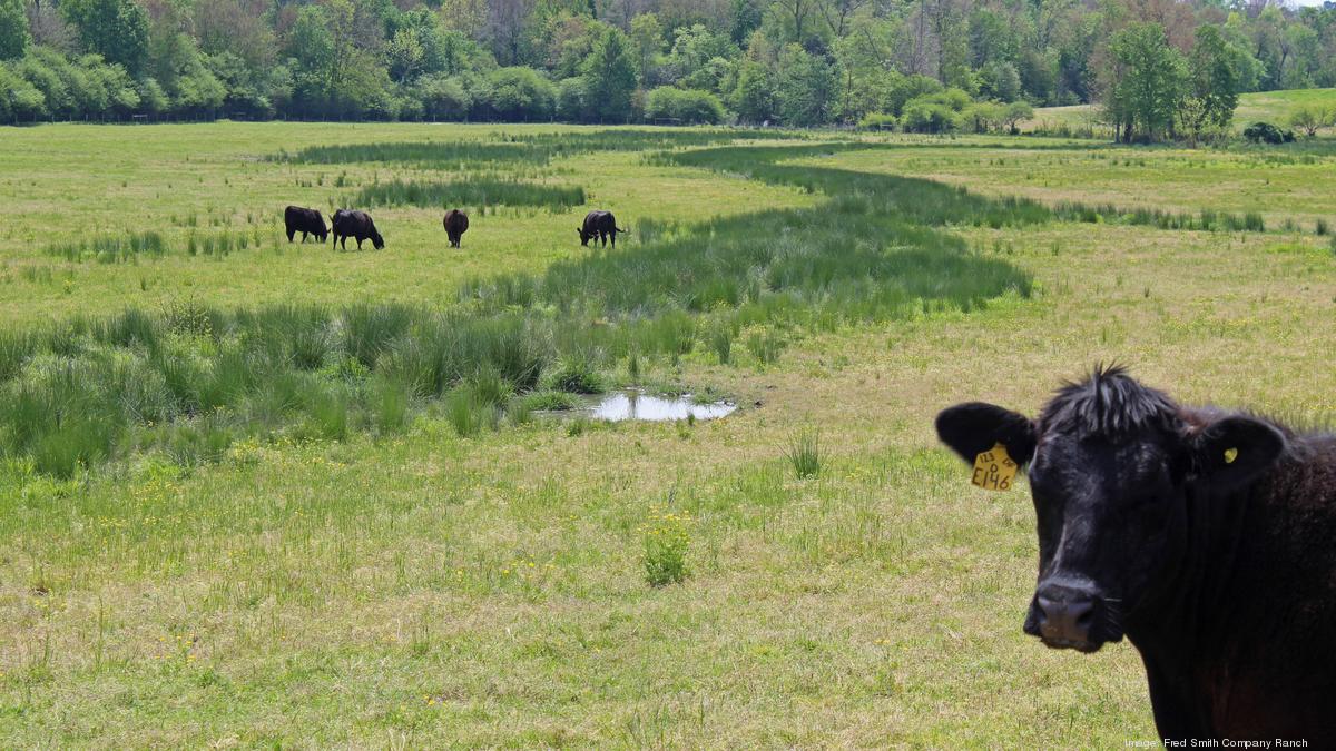 Fred Smith Company Ranch expands in Johnston County with 375-acre ...