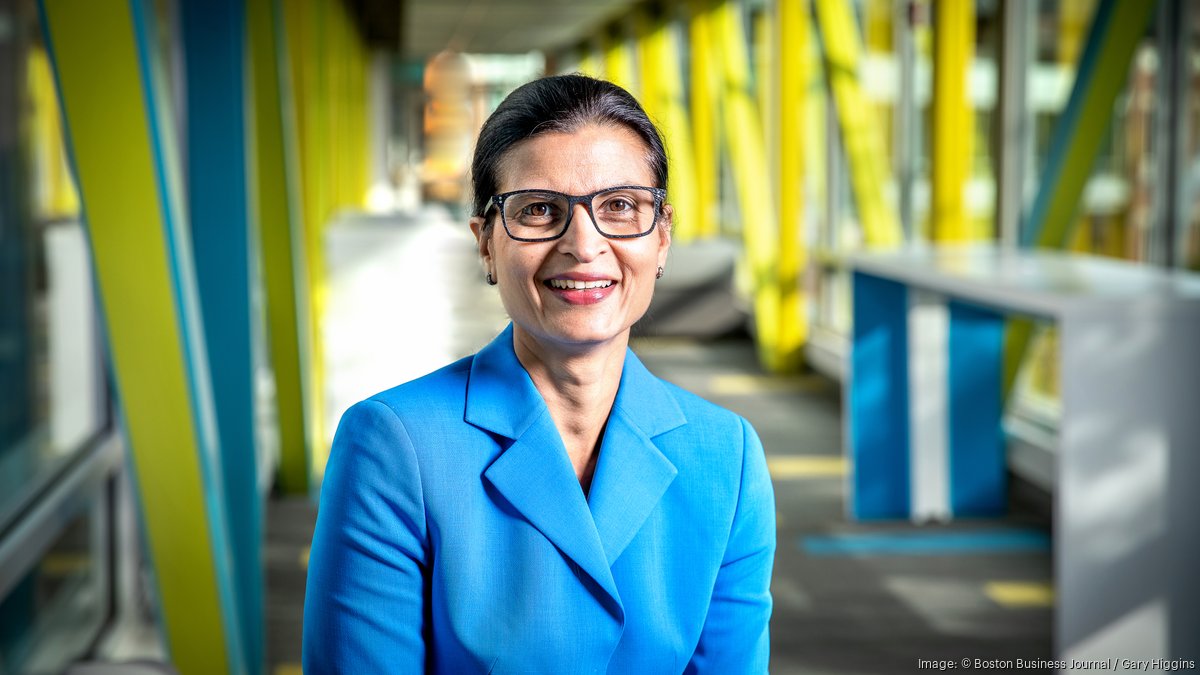 Veracode CEO Sam King steps down, Brian Roche appointed successor ...