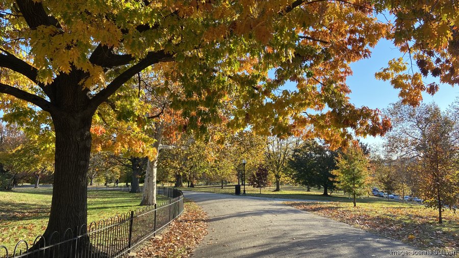 8 things you need to know today Tuesday, November 16 - Baltimore ...