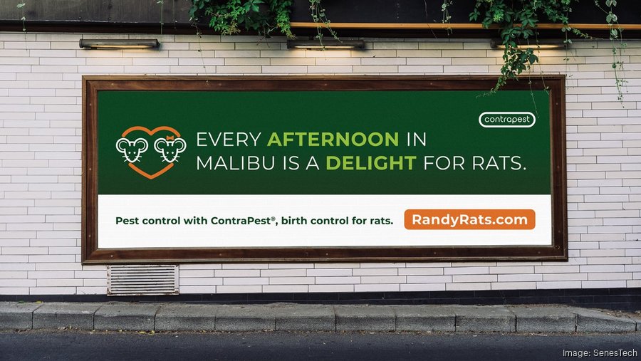 Meet SenesTech, the Phoenix company making ContraPest birth control for ...