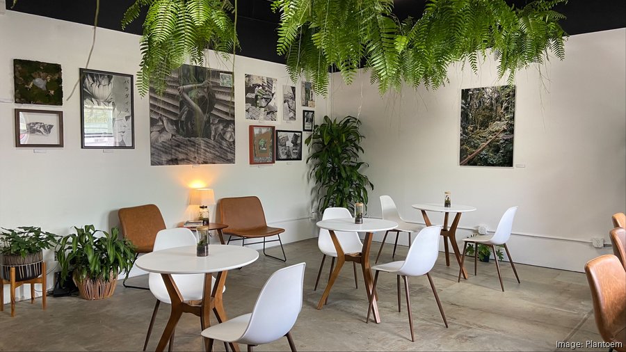 Plantoem plant community cafe in Kaimuki sells green vines, good vibes ...