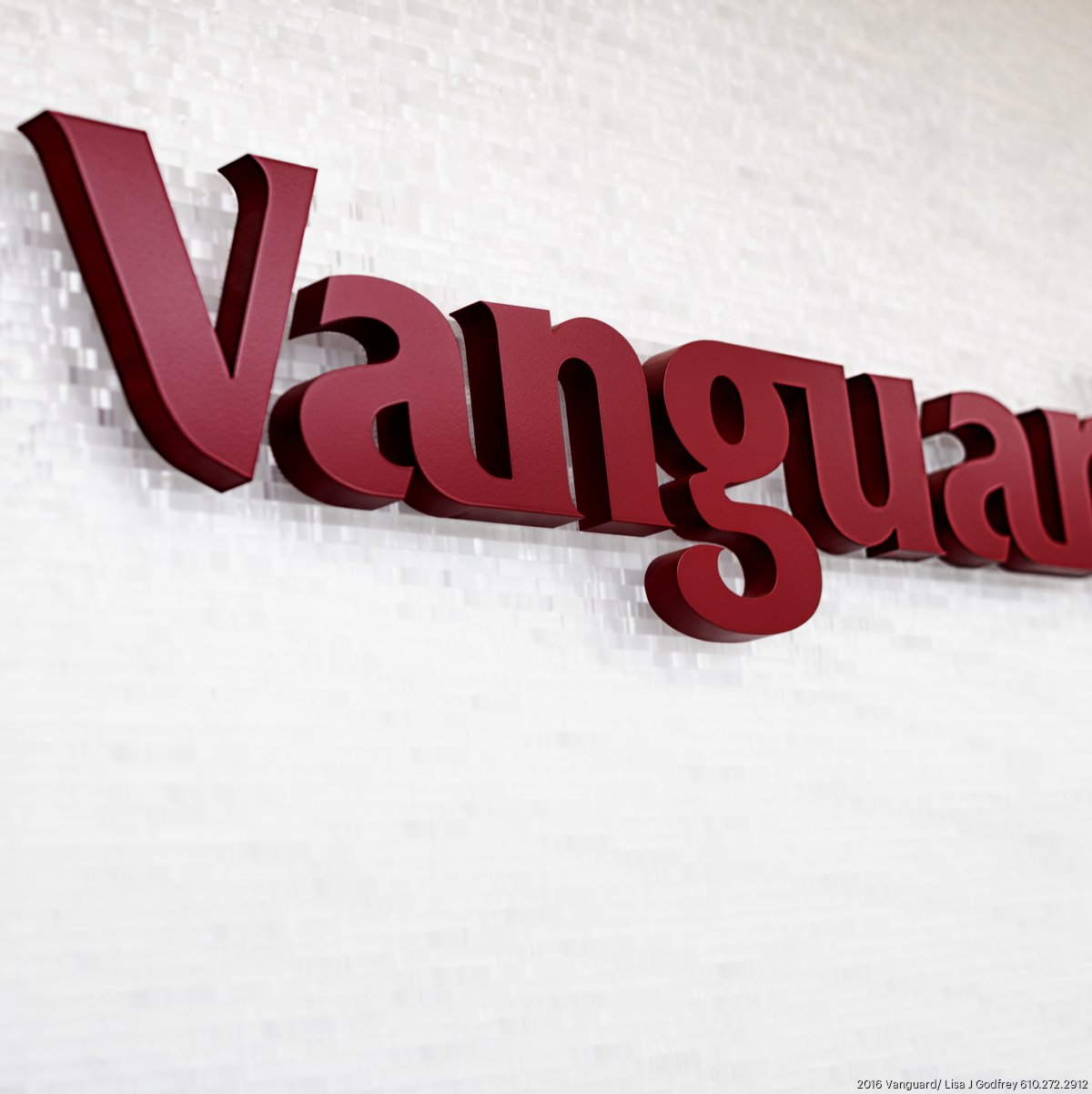 Vanguard Group Logo