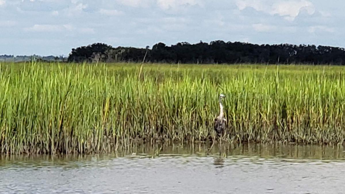 North Florida Land Trust closer to protecting Little Tiger Island in ...