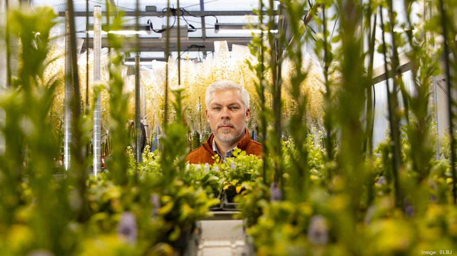 CoverCress CEO retires, company names successor - St. Louis Business ...