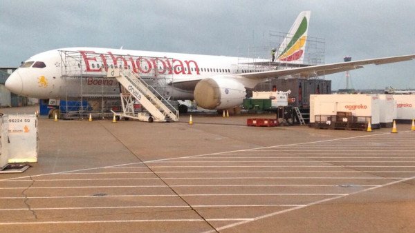 Scaffolding is rising around the grounded Ethiopian 787 Dreamliner at ...
