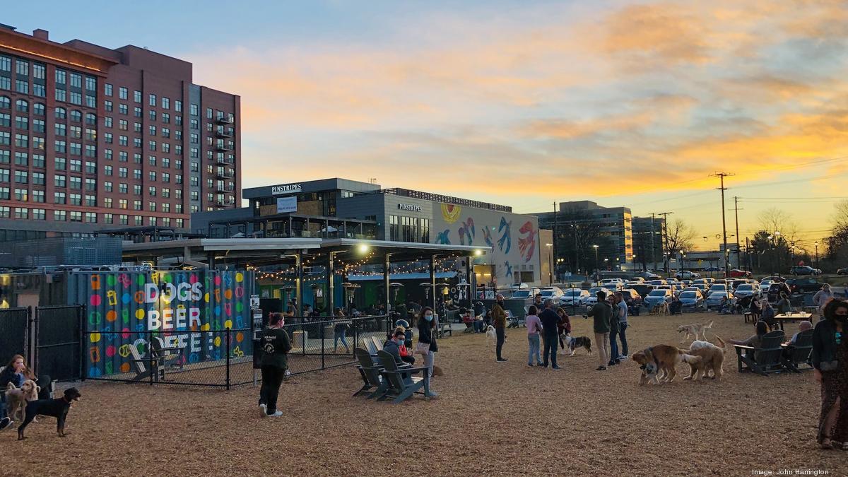 Bark Social, a social club with a focus on dogs, launches new ...