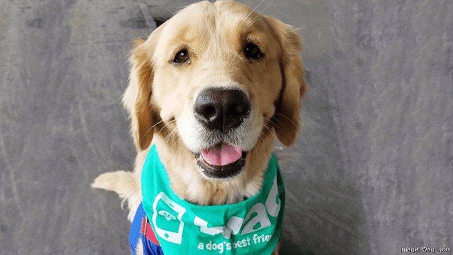 Pet care business Wag Labs gets a major haircut in its SPAC merger ...