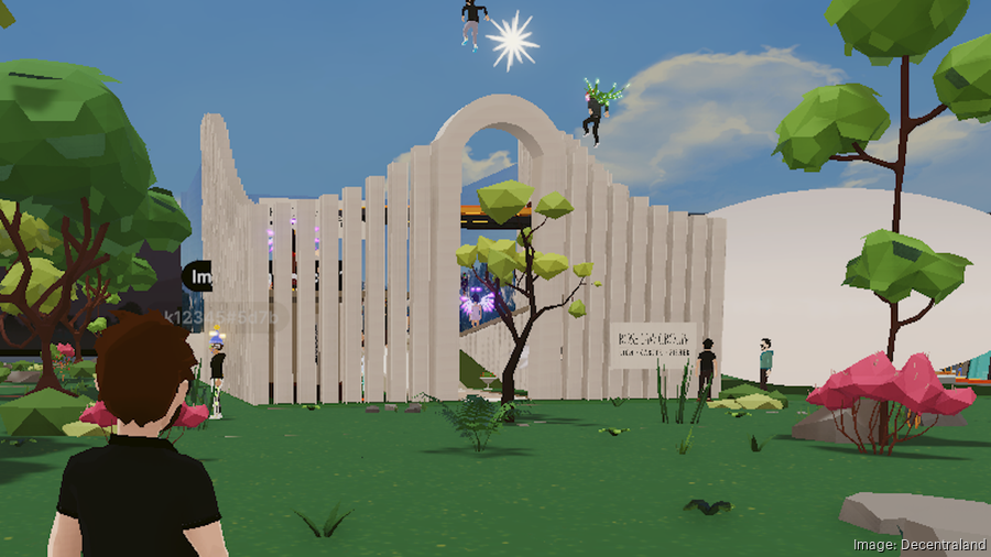 Inside the chaotic, history-making metaverse marriage of a Phoenix ...