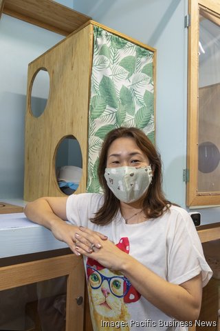 Aloha Cat Hotel gives pet owners peace of mind - Pacific Business News