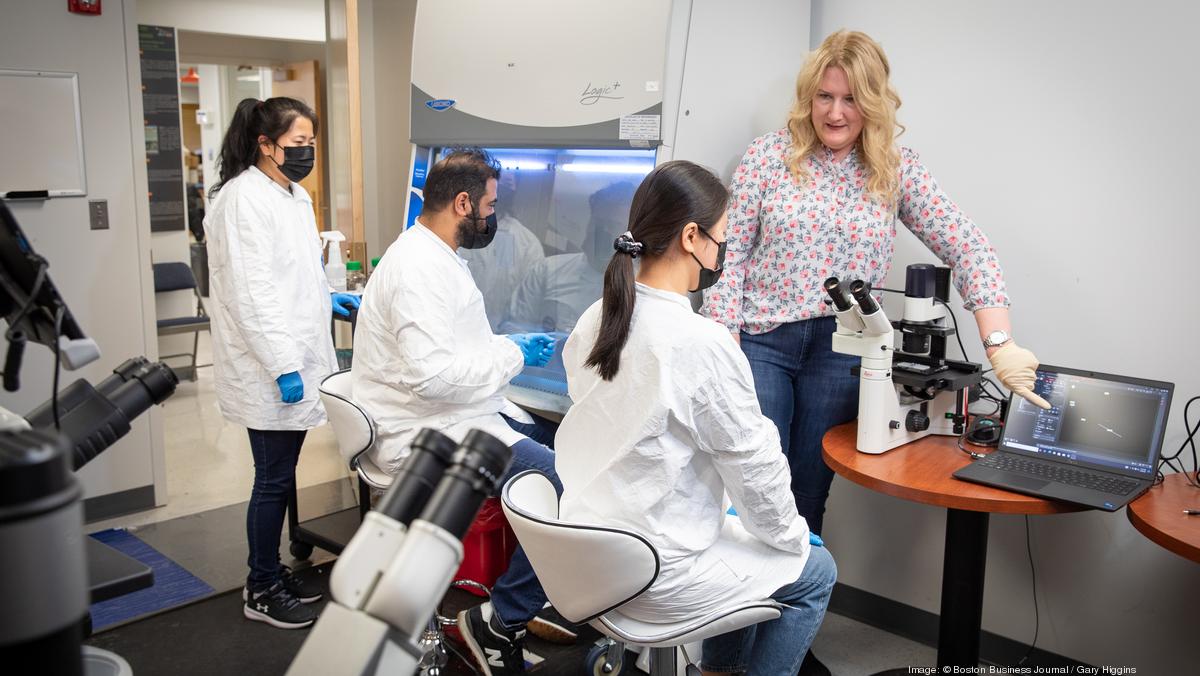 Here's how Massachusetts is trying to solve biotech's job dilemma ...