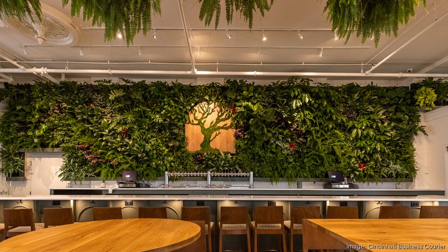 Look inside the Alcove, MadTree Brewing's new OTR Oasis: PHOTOS ...