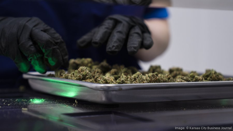 Medical marijuana industry leads $7.7M effort for Missouri legalization ...