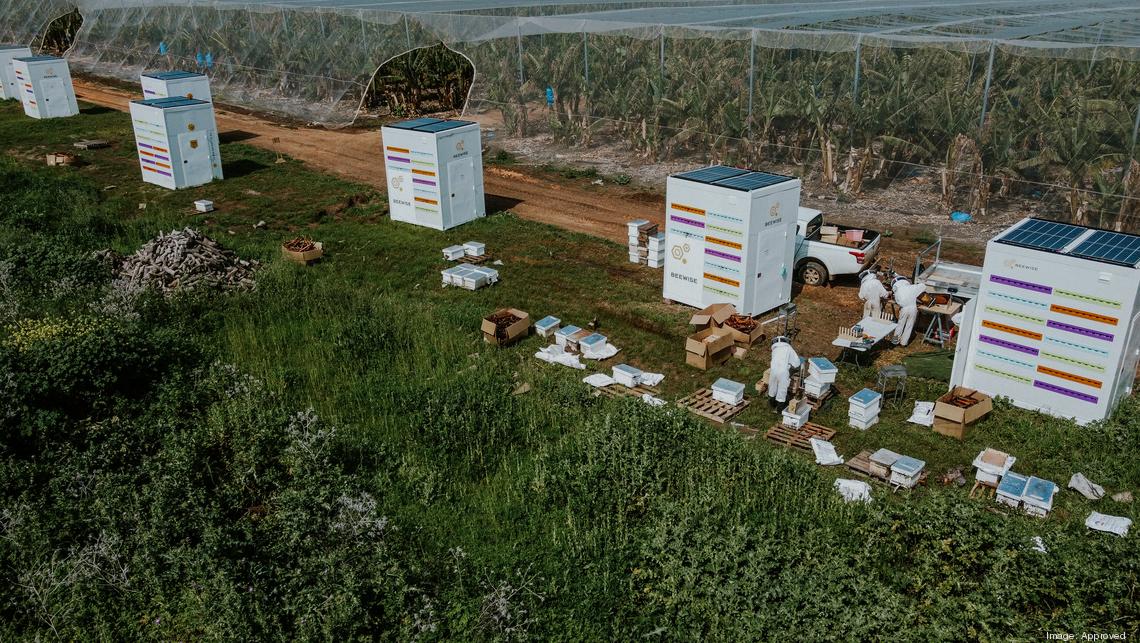 Sacramento Inno - Robotic honeybee hive technology company Beewise ...
