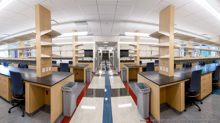 Building Memphis winners: Inspiration from St. Jude Children's Research ...