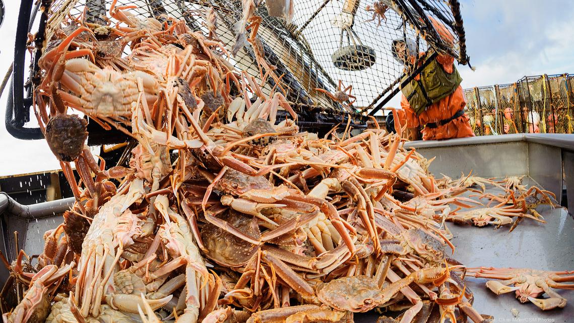 Seattle Inno - This Bellingham startup uses crab shells to treat water