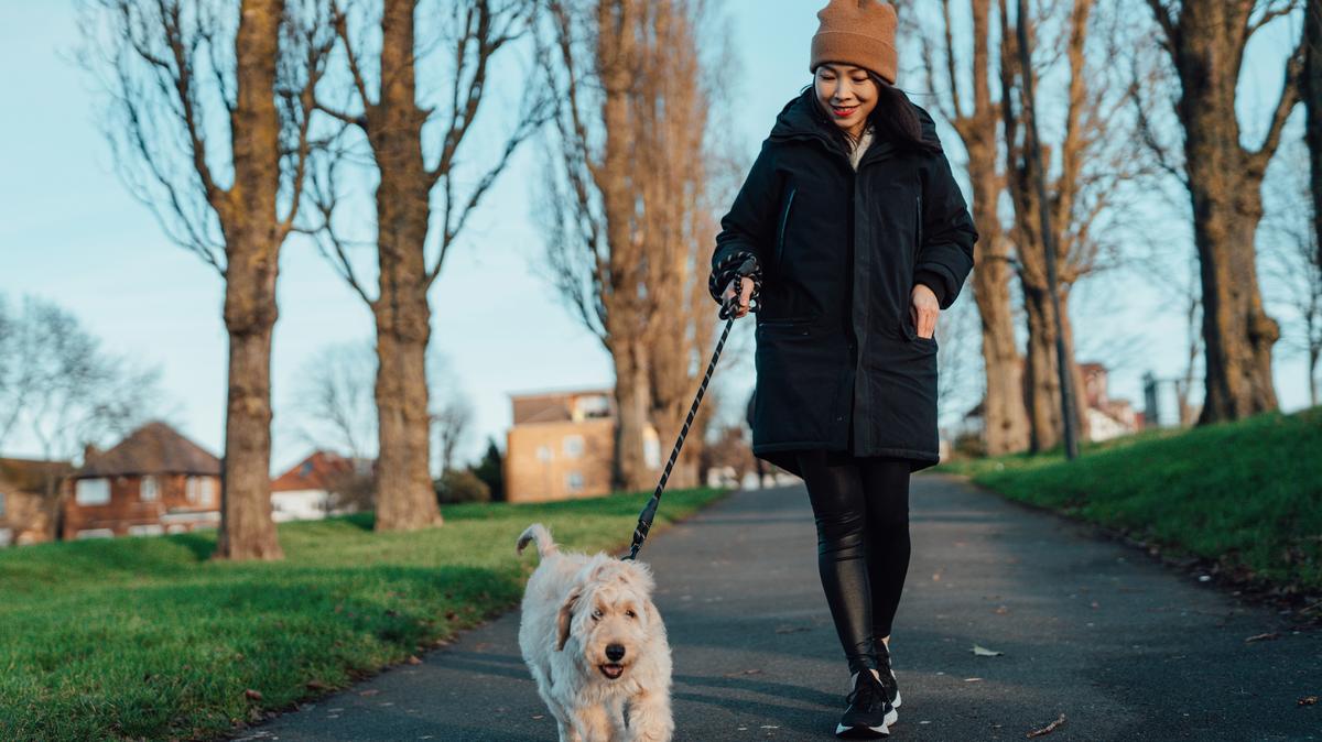 Tips to walk your way to better health — and reasons why you should ...
