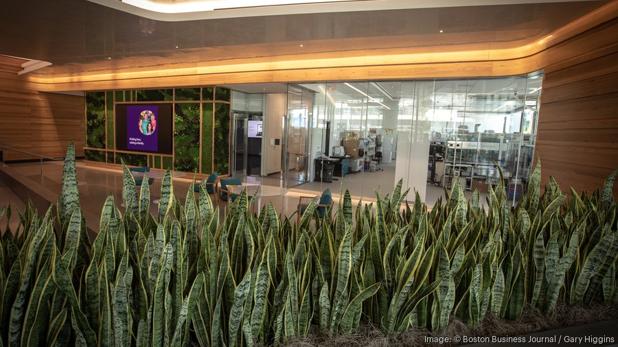 Sanofi jobs planned in Cambridge Mass. - Boston Business Journal