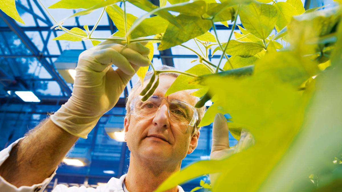 Bayer CropScience charting expansion in RTP - Triangle Business Journal