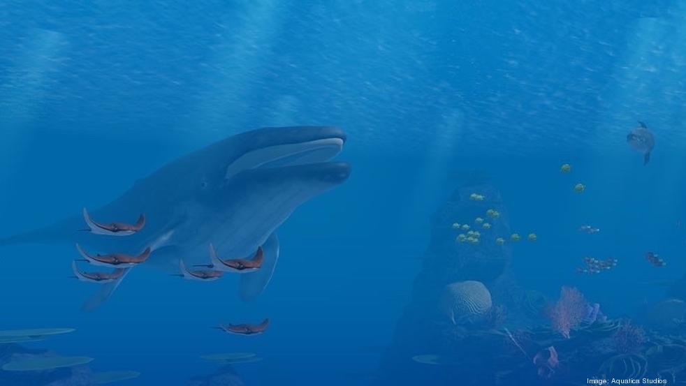 Tampa Bay Inno - Meet the 20-year-old UT student who's working with ...