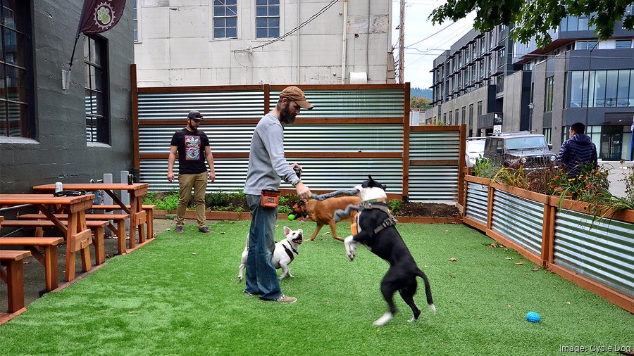 Portland toy manufacturer Cycle Dog prioritizes the planet - Portland ...