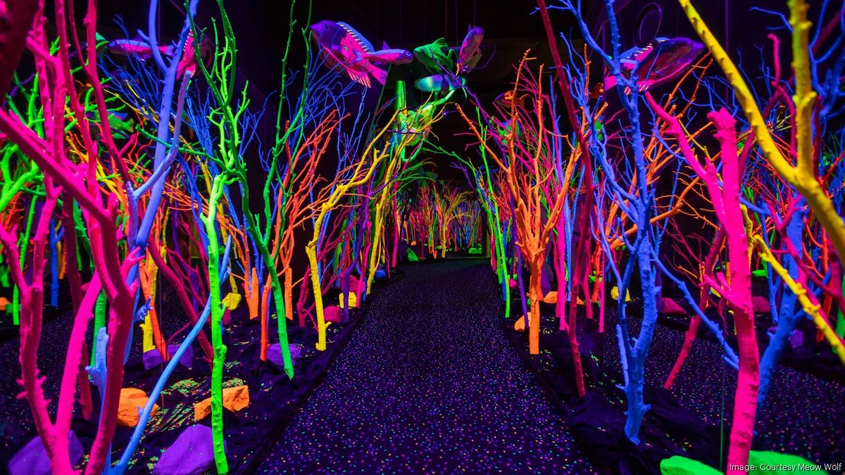 See which New Mexico organizations landed grants from The Meow Wolf Foundation - Albuquerque ...