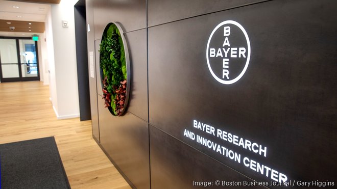 Bayer expands in Cambridge with new incubator for cell and gene therapy ...