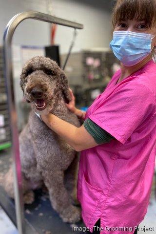 Kansas City nonprofit The Grooming Project will open largest U.S. dog ...