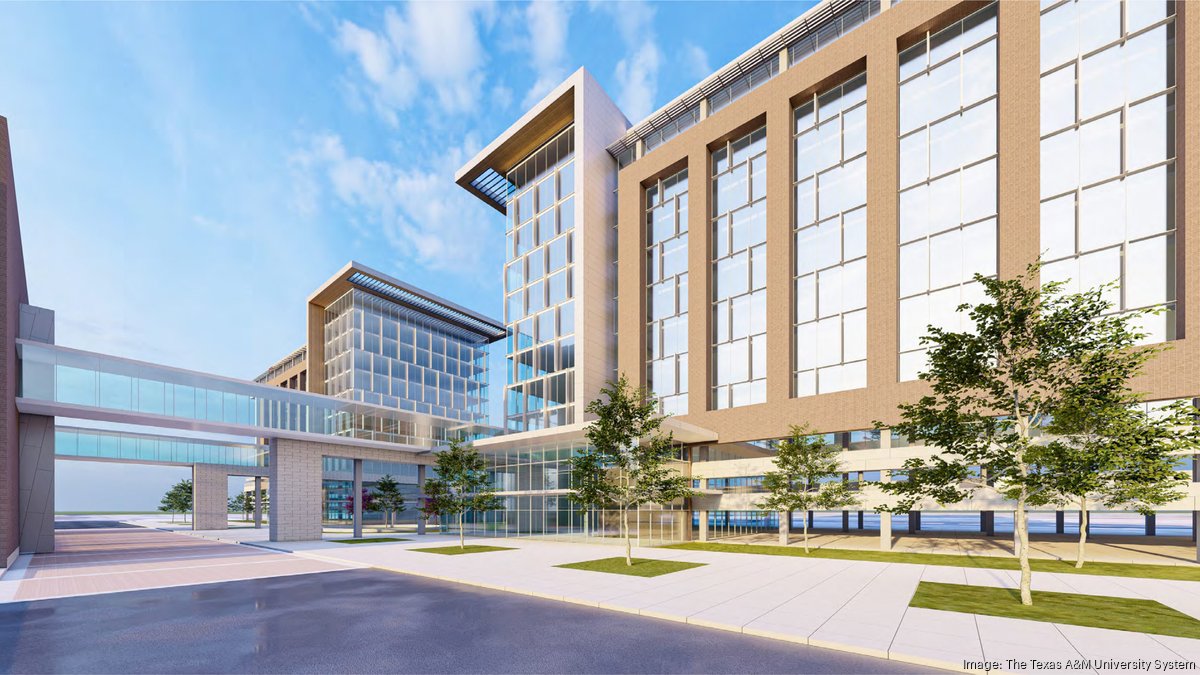 Texas A&M University School of Law catapults through rankings to land ...