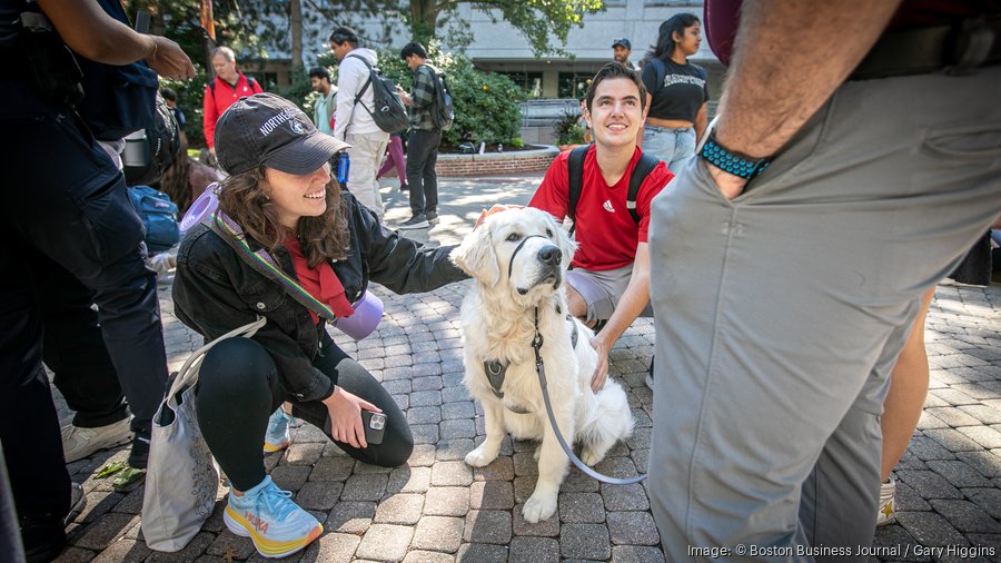 After reported mail bomb at Northeastern, comfort dogs soothe students ...
