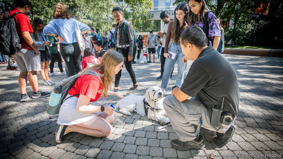 After reported mail bomb at Northeastern, comfort dogs soothe students ...