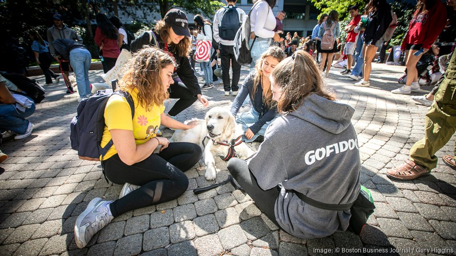 After reported mail bomb at Northeastern, comfort dogs soothe students ...