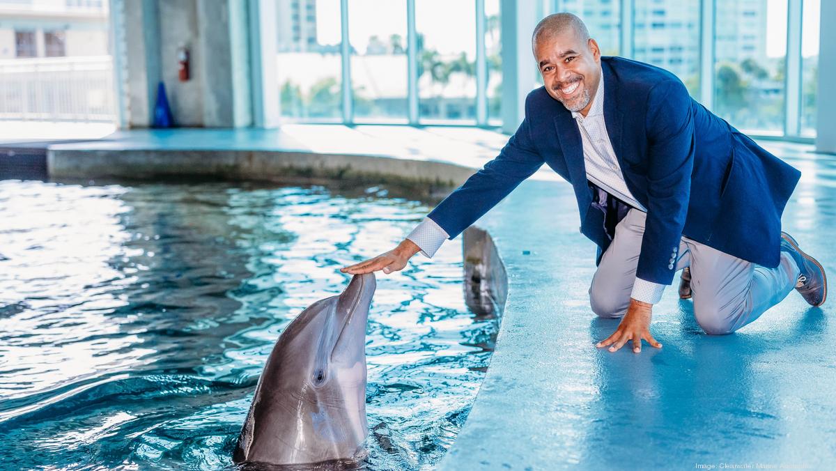 Clearwater Marine Aquarium CEO Joe Handy brings big-city chops - Tampa ...