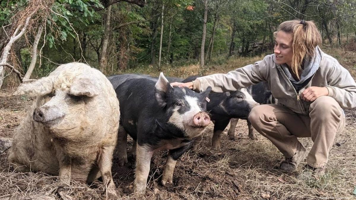 Rural businesses feeling the pinch of post-pandemic problems ...
