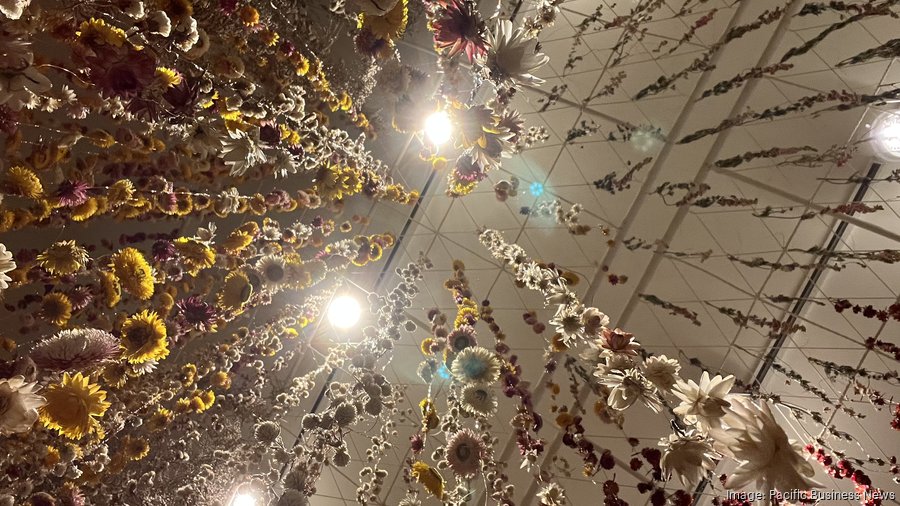 A Pbn Departure And An Opportunity For Hawaii Nonprofits Pacific Business News