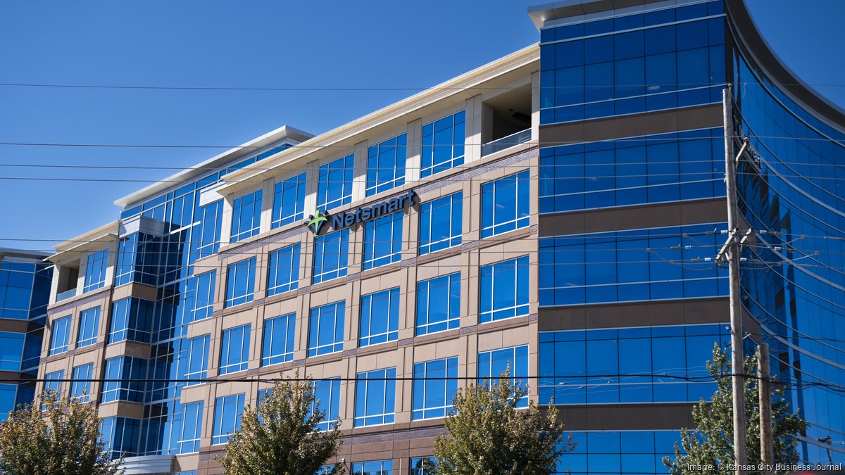 Netsmart's Netalytics acquisition targets rising need for opioid ...