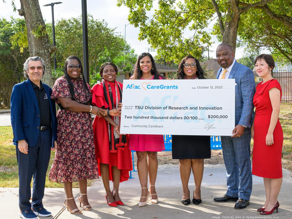 American Family Life Assurance Co. of Columbus (Aflac) Company Profile ...